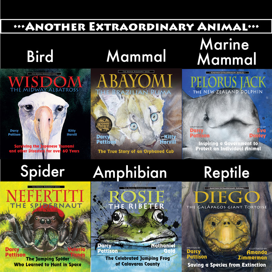 Mims STEM Bundle – MimsHouseBooks