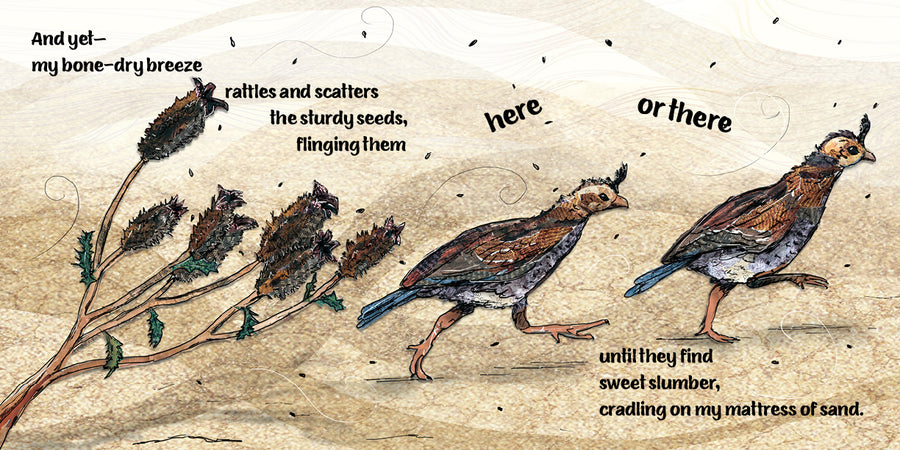 The Creative Process of Illustrator Jordan Kim – MimsHouseBooks